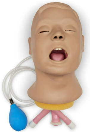 Mentone Nsco Life/form? Adult Airway Management Trainer Manikin - Wishmed